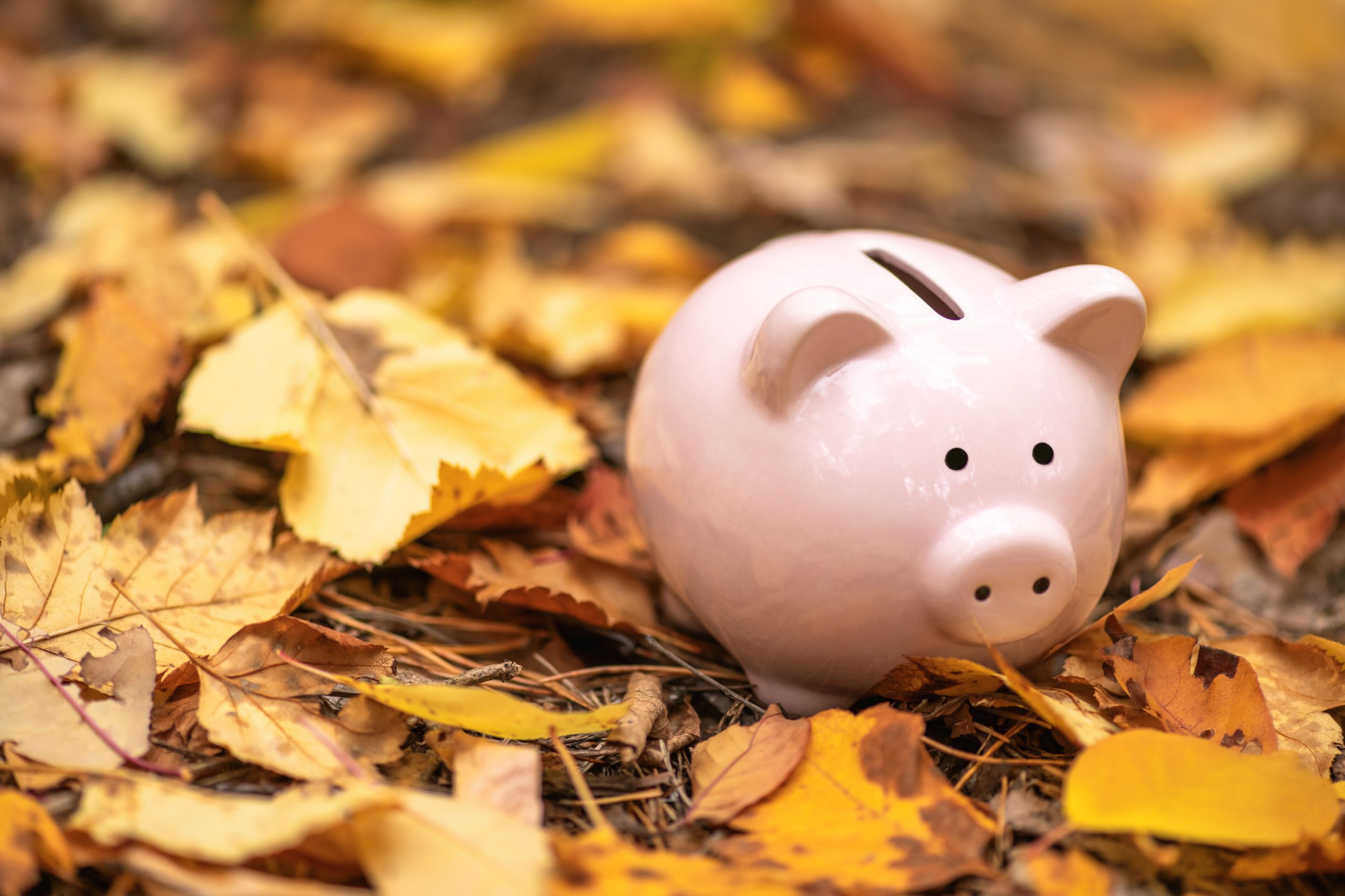 Autumn budget – key takeaways and actions for agency owners. - de Jong ...